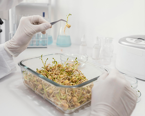 About AvesLabs - Leading Food Testing Company In Rajasthan